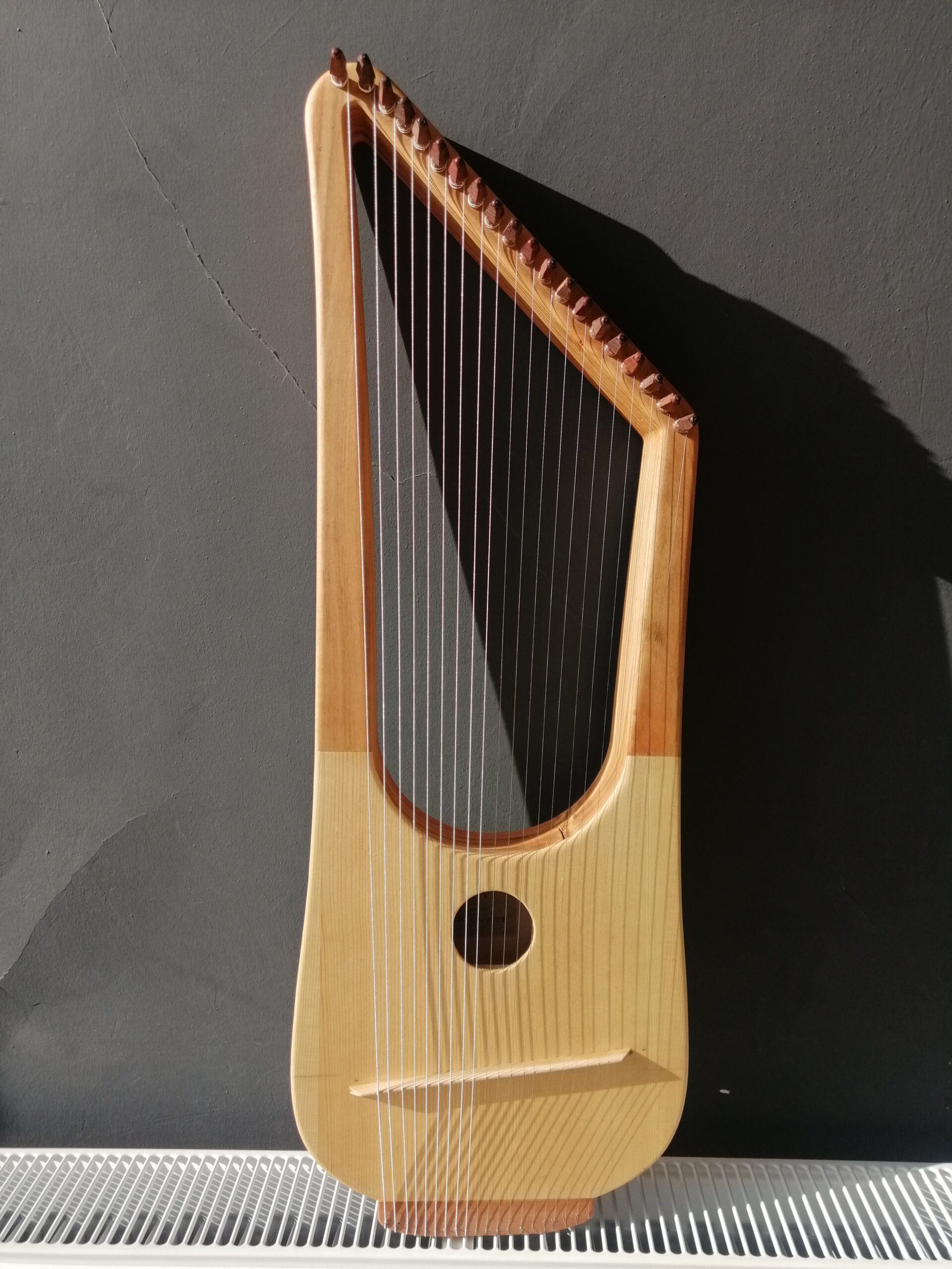 Lir Nedir - Müzik Blog